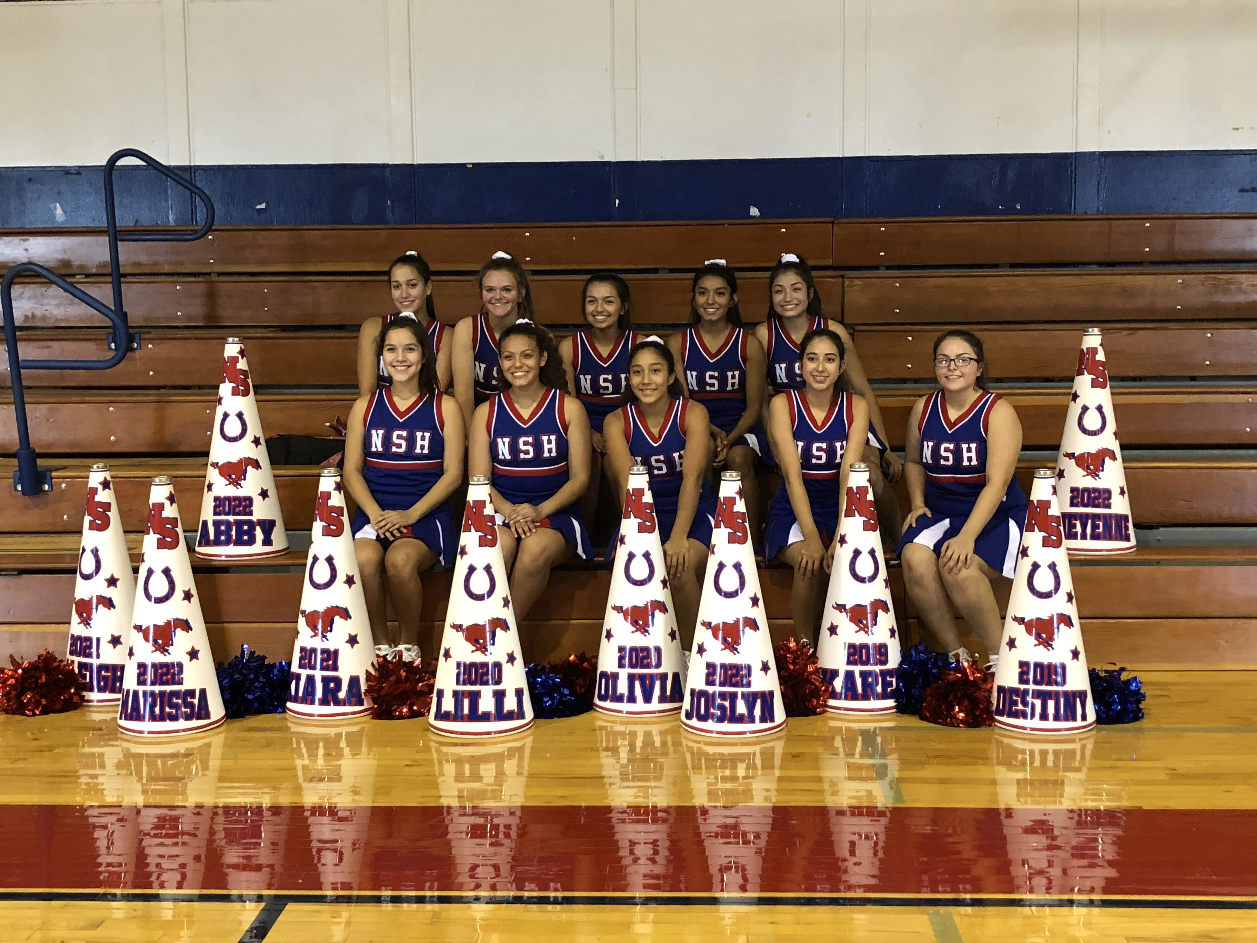 Nixon-Smiley Consolidated Independent School District